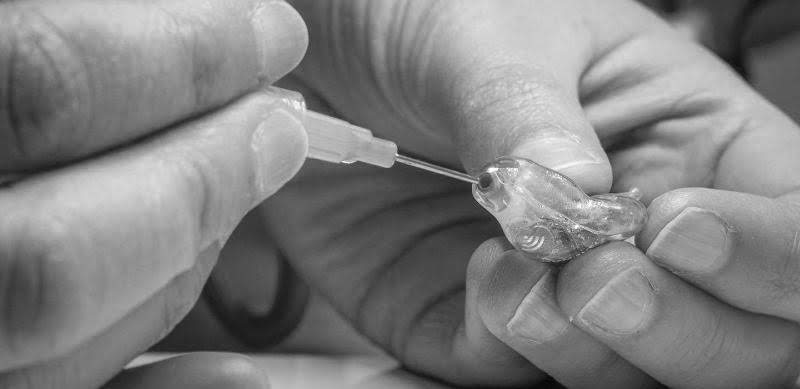 Taking care of hearing aids, your daily maintenance checklist